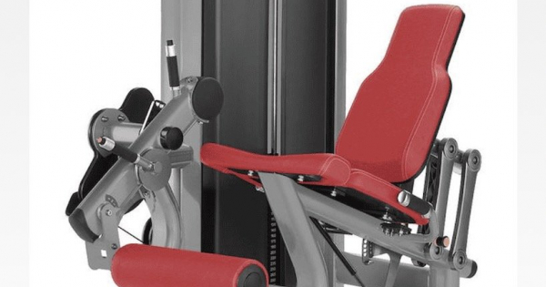 Life Fitness Insignia Series Leg Extension (SS-LE)