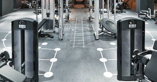 PAVIGYM